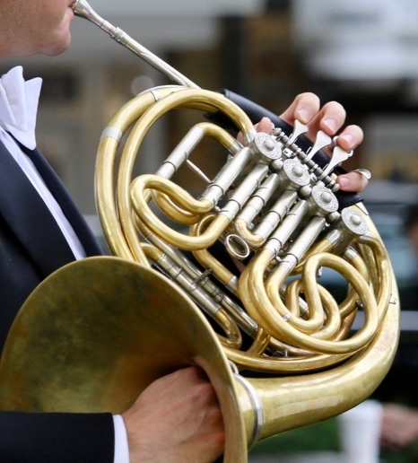 Horn | Princeton Symphony Orchestra